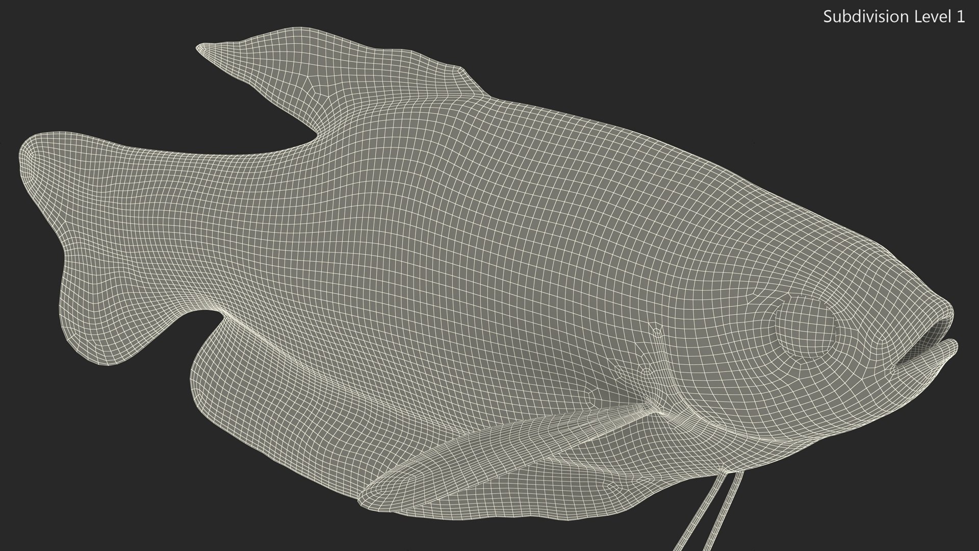 3D Blue Opaline Gourami Fish Rigged Model - TurboSquid 2206577