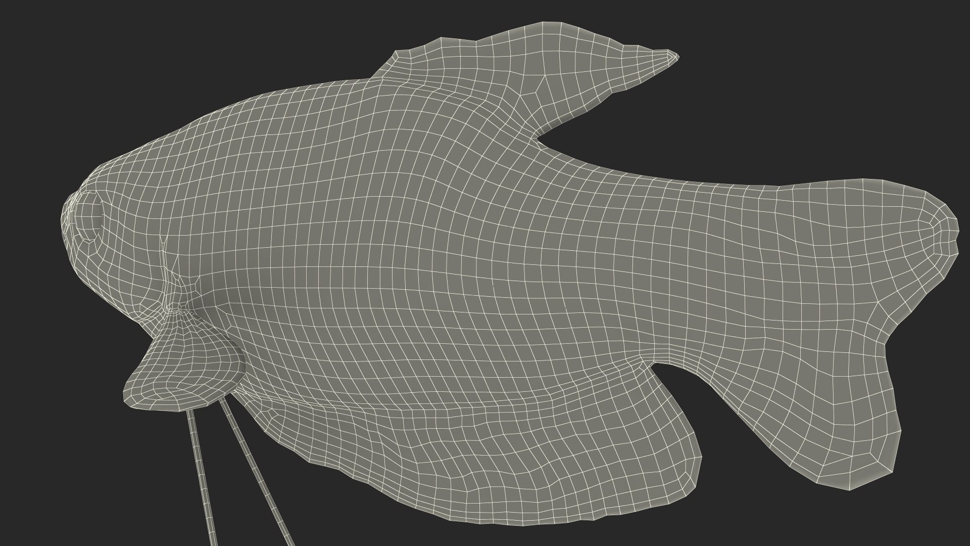 3D Blue Opaline Gourami Fish Rigged Model - TurboSquid 2206577