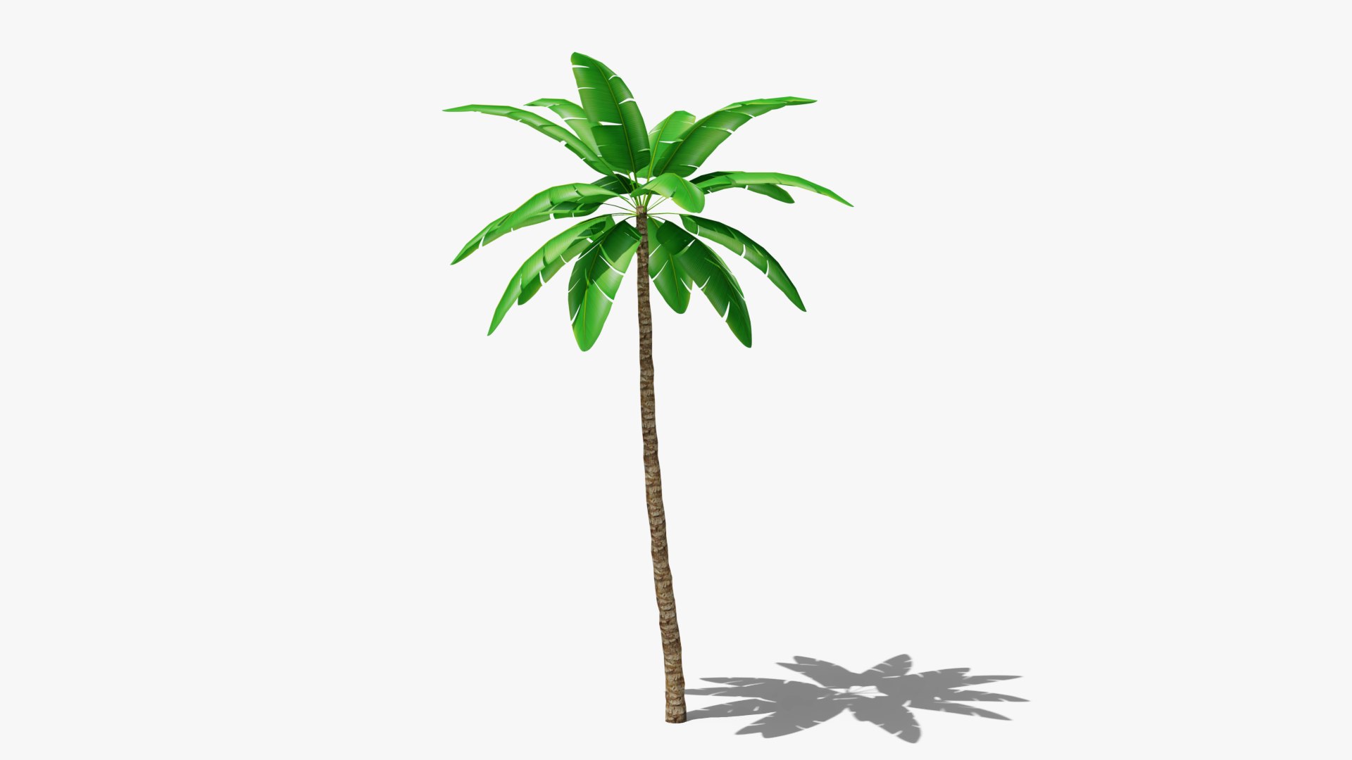 Stylized Cartoon Palm V2 3D Model - TurboSquid 2090038