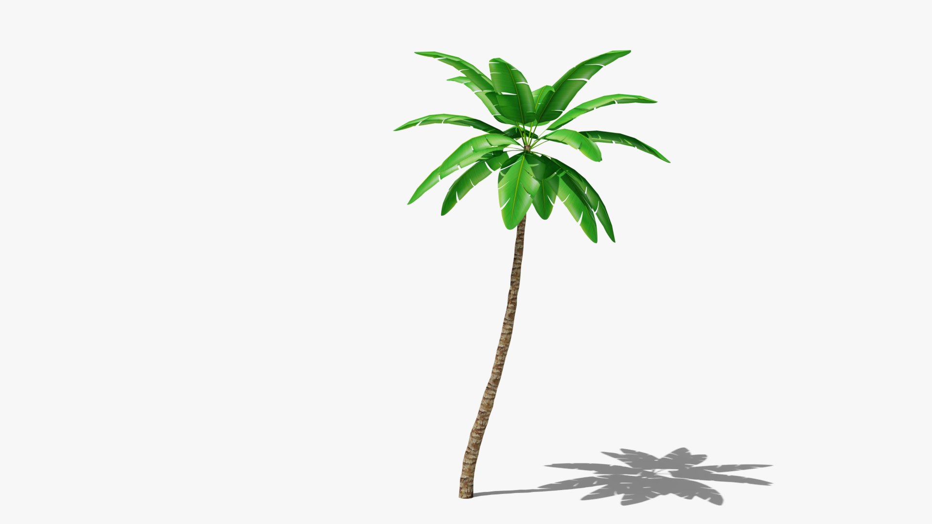 Stylized Cartoon Palm V2 3D Model - TurboSquid 2090038