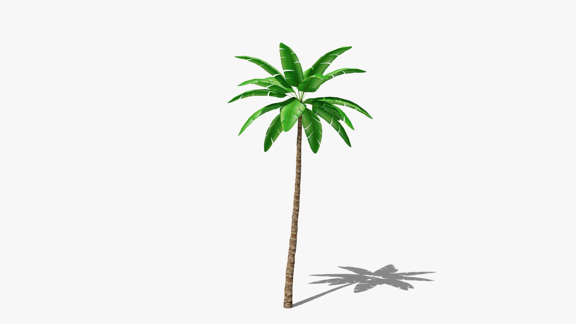 Stylized Cartoon Palm V2 3D Model - TurboSquid 2090038