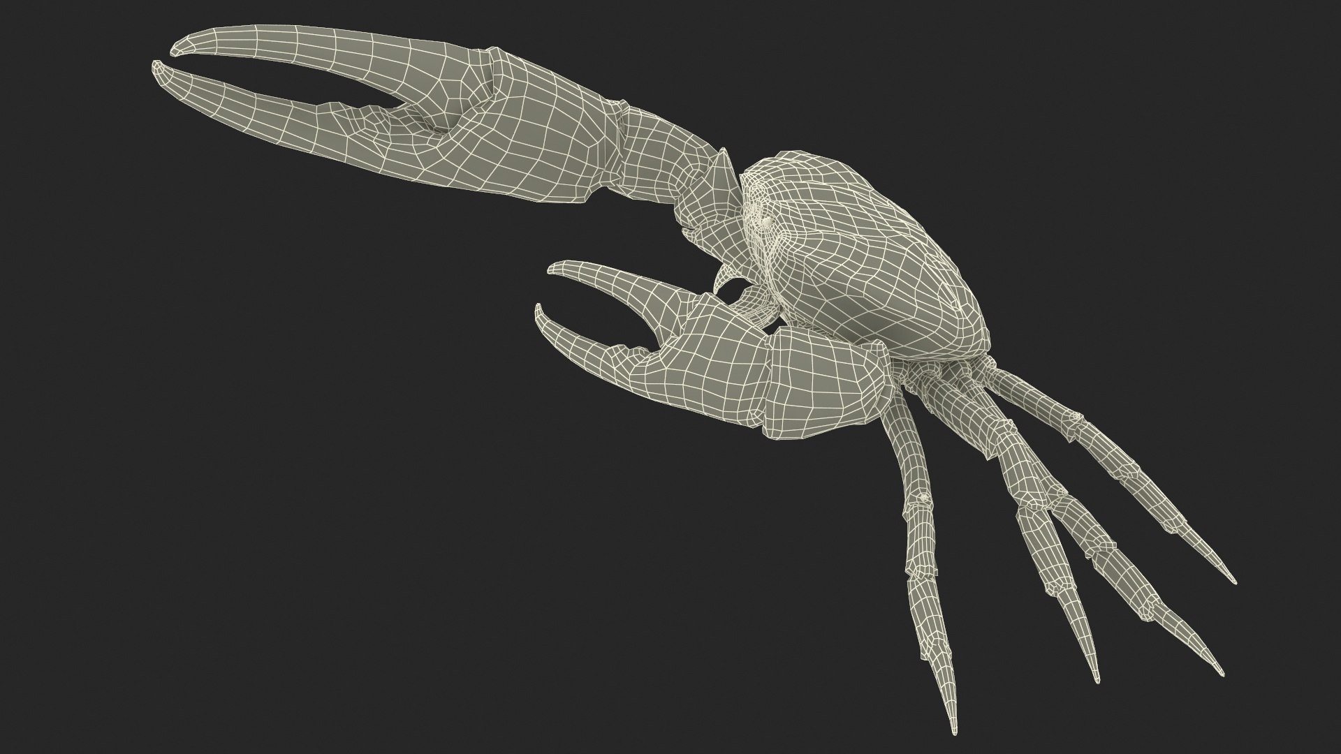 3D Deepwater Giant Crab Rigged Model - TurboSquid 2181444