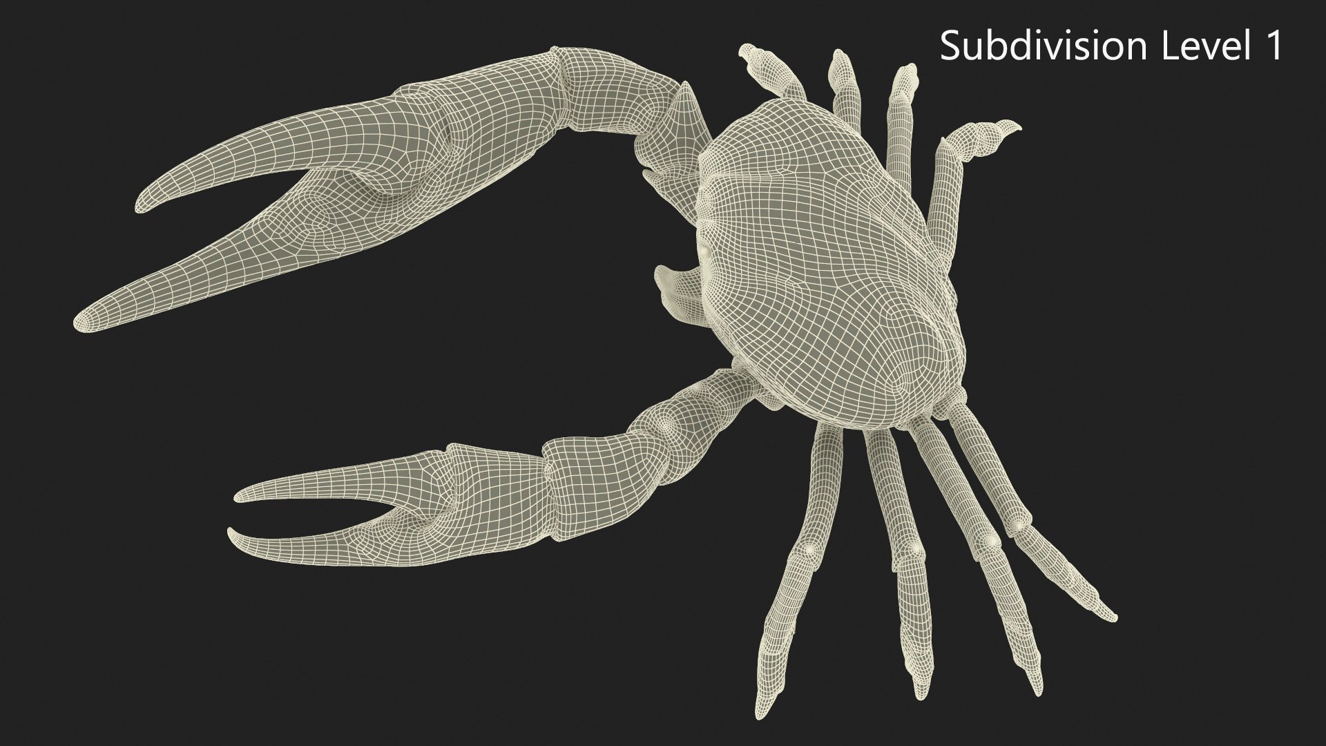 3D Deepwater Giant Crab Rigged Model - TurboSquid 2181444