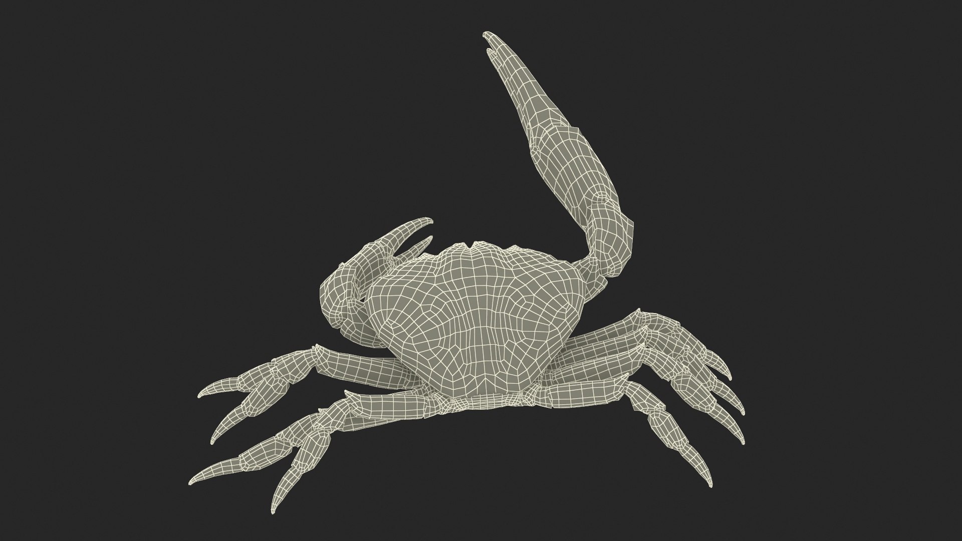 3D Deepwater Giant Crab Rigged Model - TurboSquid 2181444