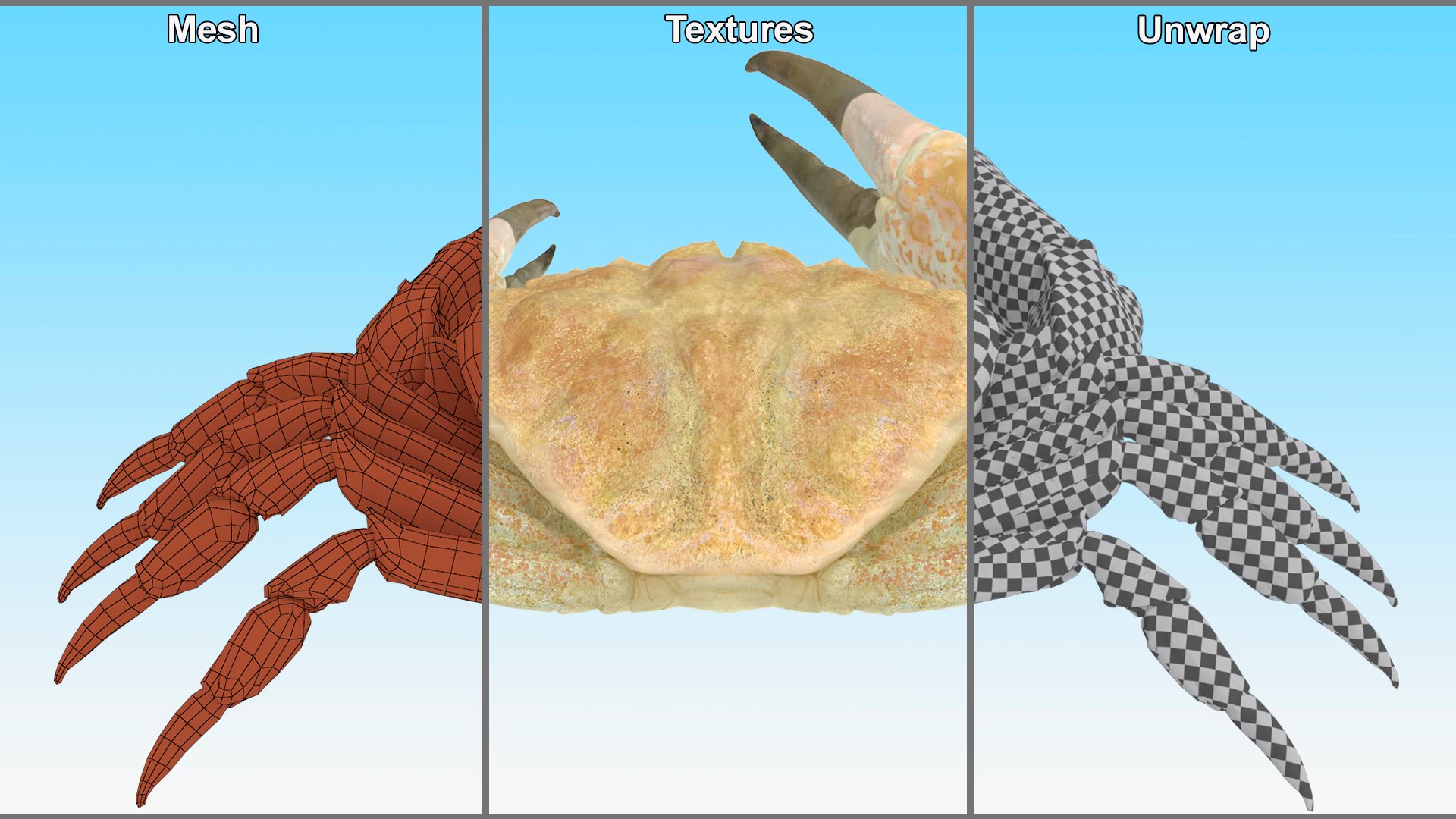 3D Deepwater Giant Crab Rigged Model - TurboSquid 2181444