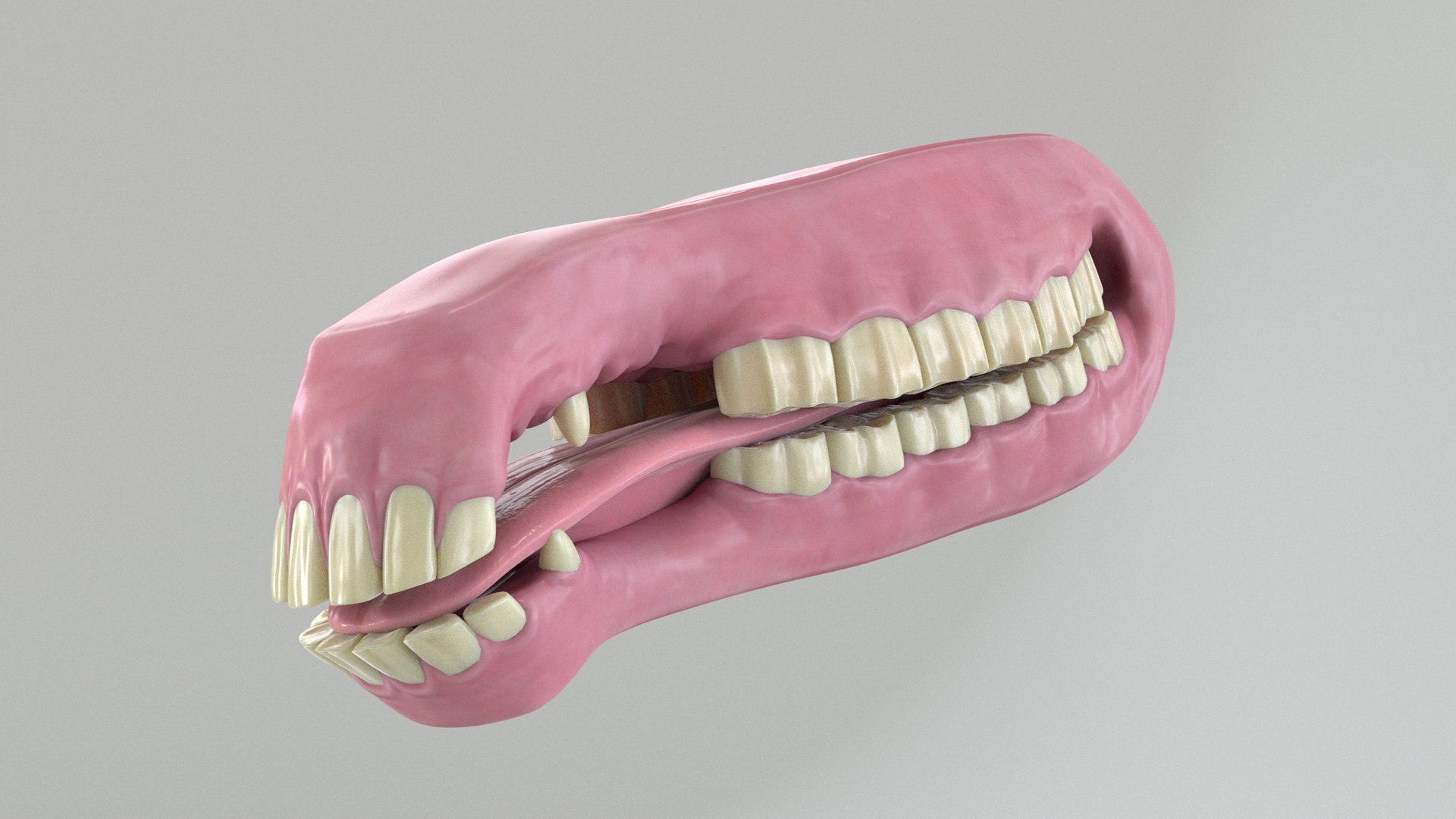 Realistic Horse Mouth Tongue Model - TurboSquid 1637270