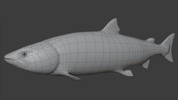 Rigged atlantic salmon model - TurboSquid 1648865