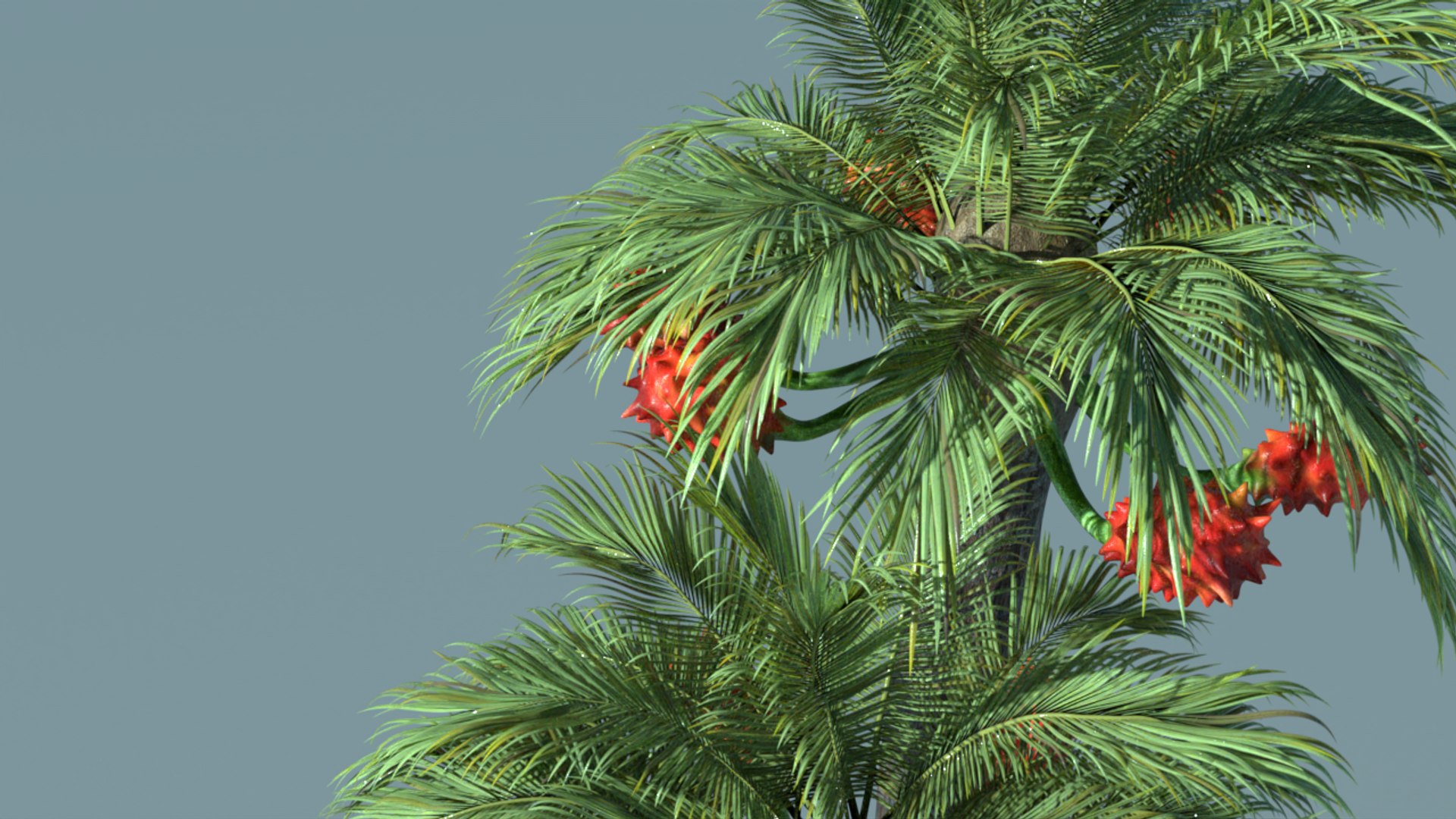 3D Palm Model - TurboSquid 1599040