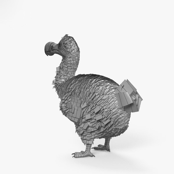 Dodo bird animal model - TurboSquid 1350062