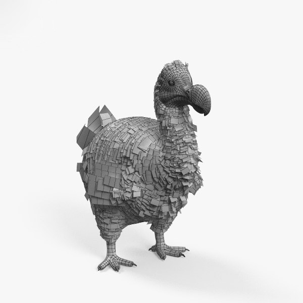 Dodo bird animal model - TurboSquid 1350062