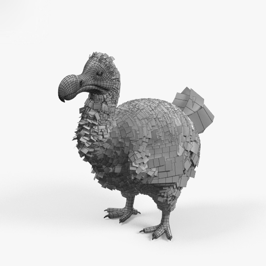 Dodo Bird Animal Model - TurboSquid 1350062