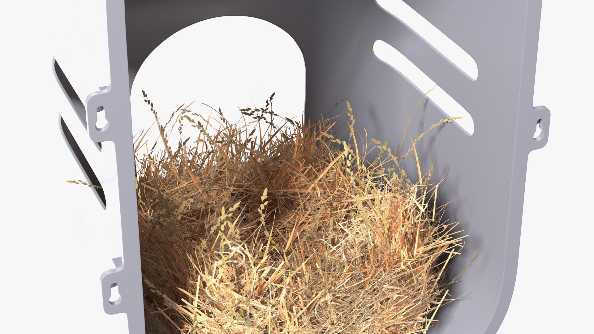 3D Wall Mount Nesting Nest Box For Chicken Coop - TurboSquid 2112377