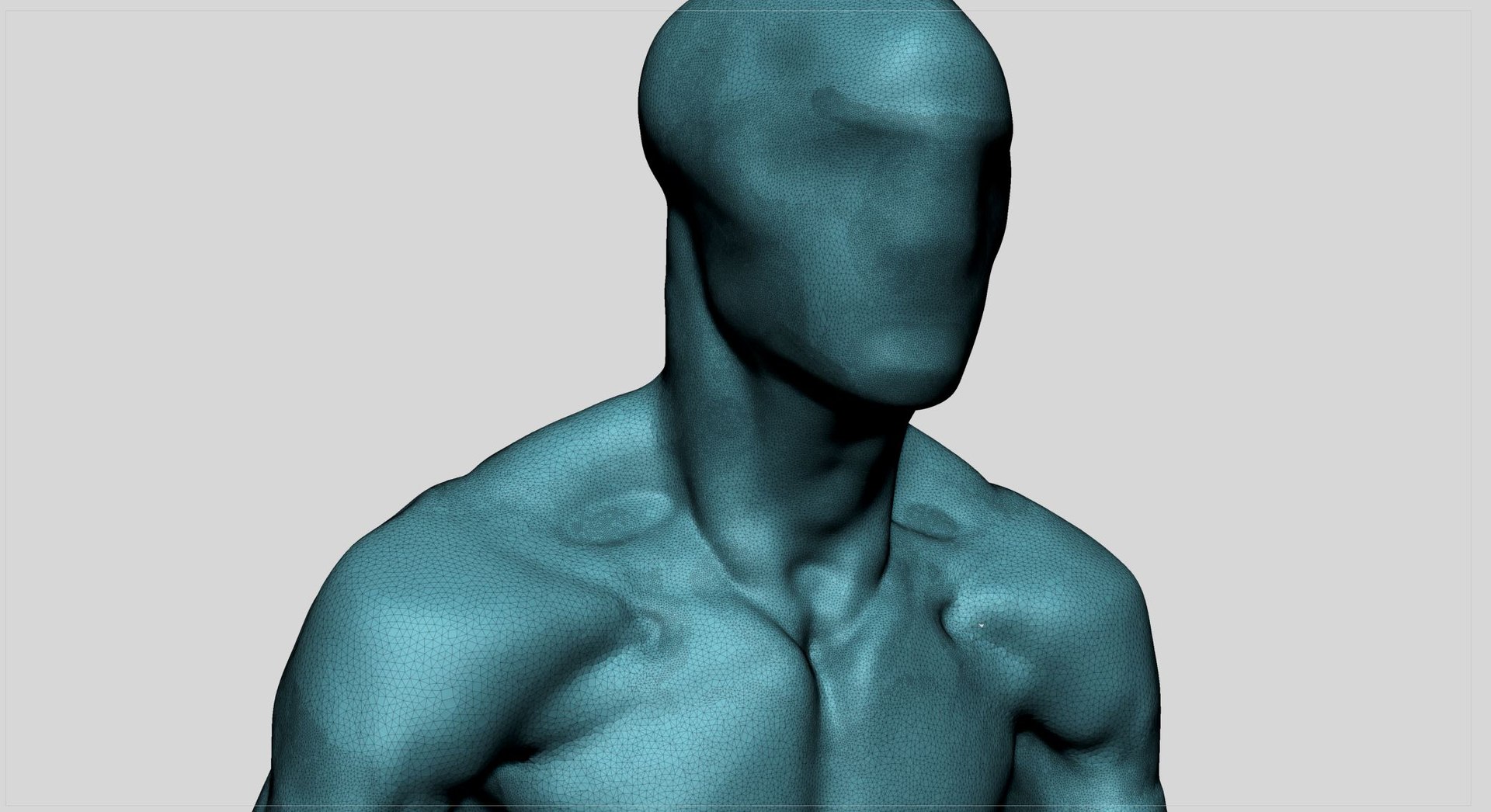 3D Model Base Male Torso Anatomy - TurboSquid 1701133