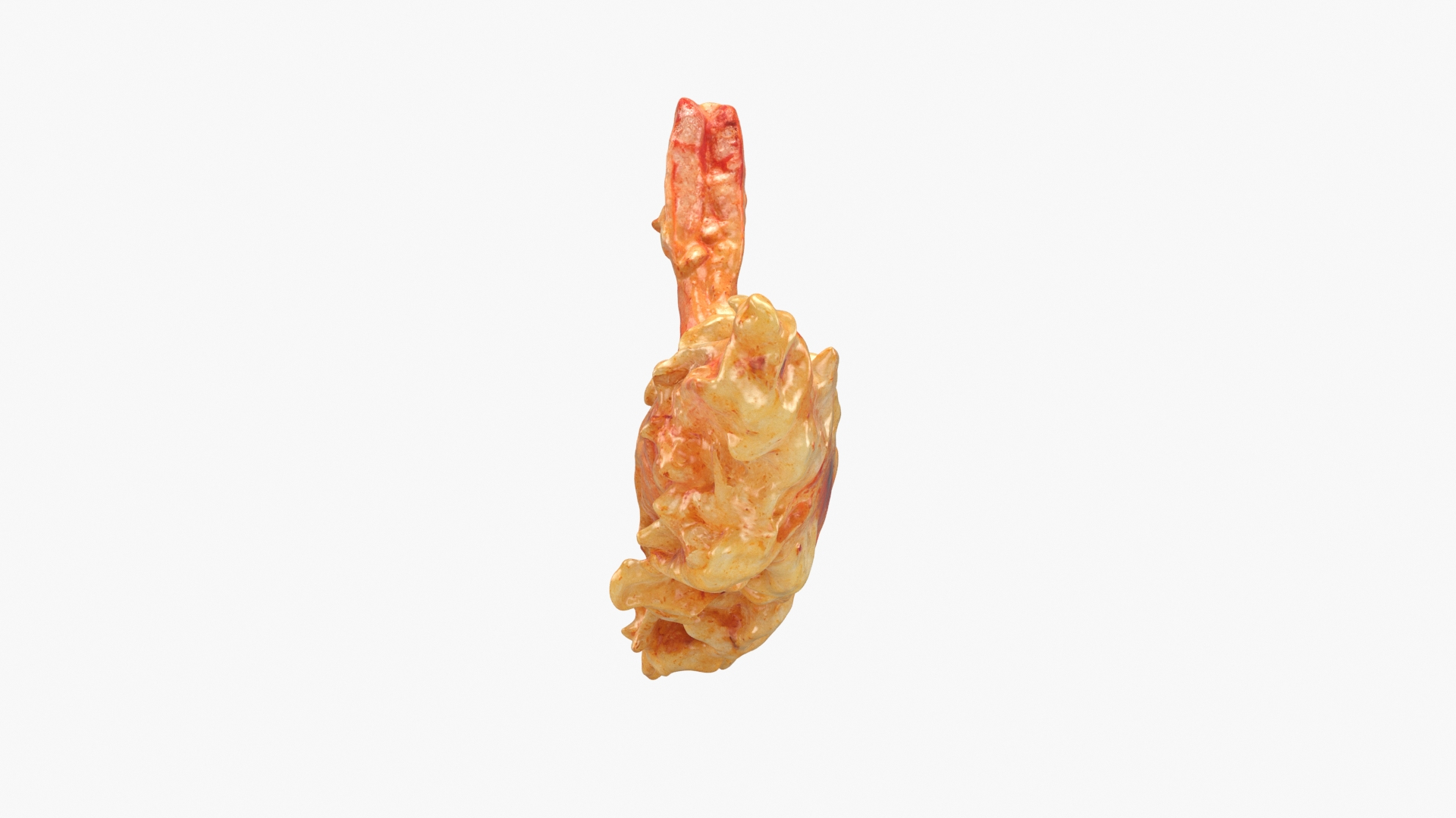 3D Fried Shrimp 01 Model - TurboSquid 2114923
