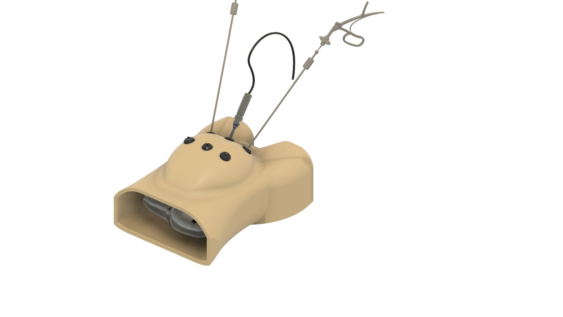 Laparoscopic simulator with organs included 3D - TurboSquid 2160616