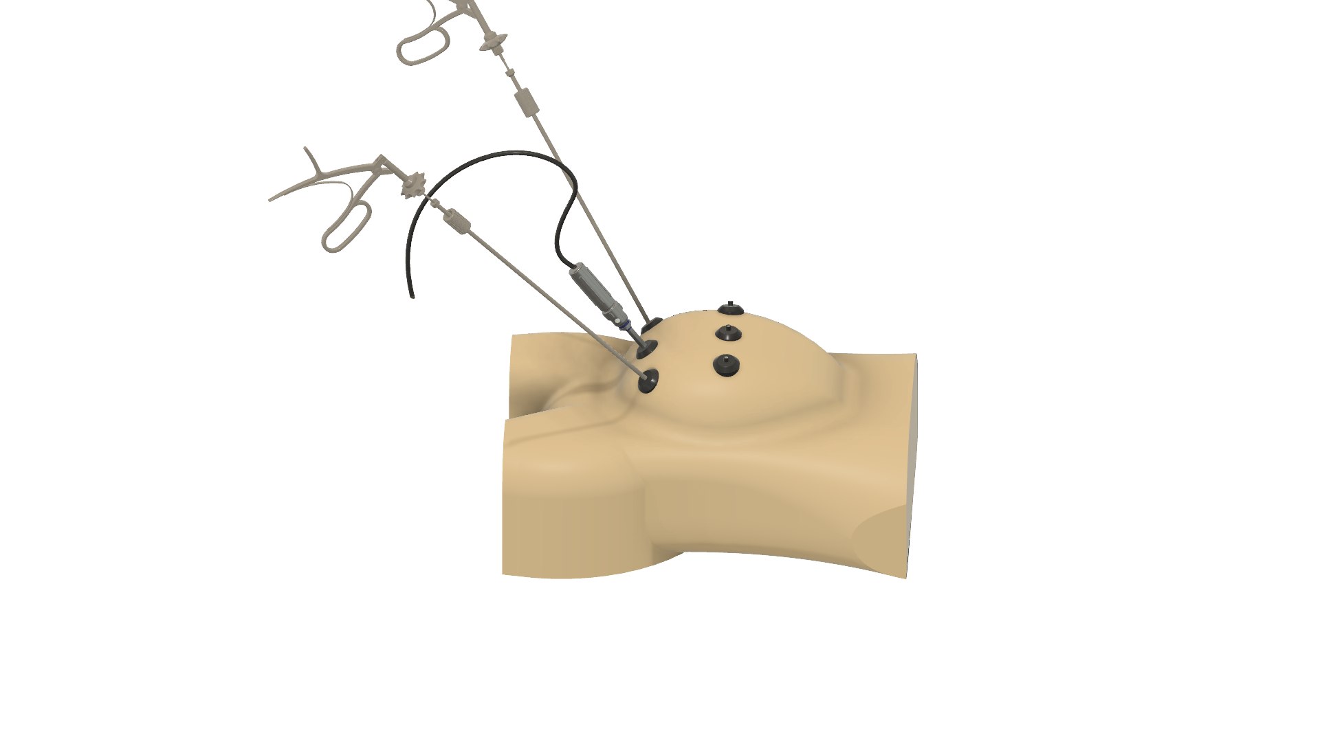 Laparoscopic simulator with organs included 3D - TurboSquid 2160616