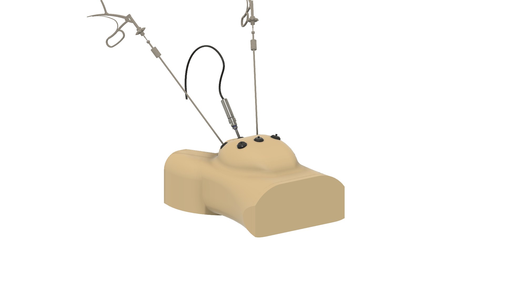 Laparoscopic simulator with organs included 3D - TurboSquid 2160616