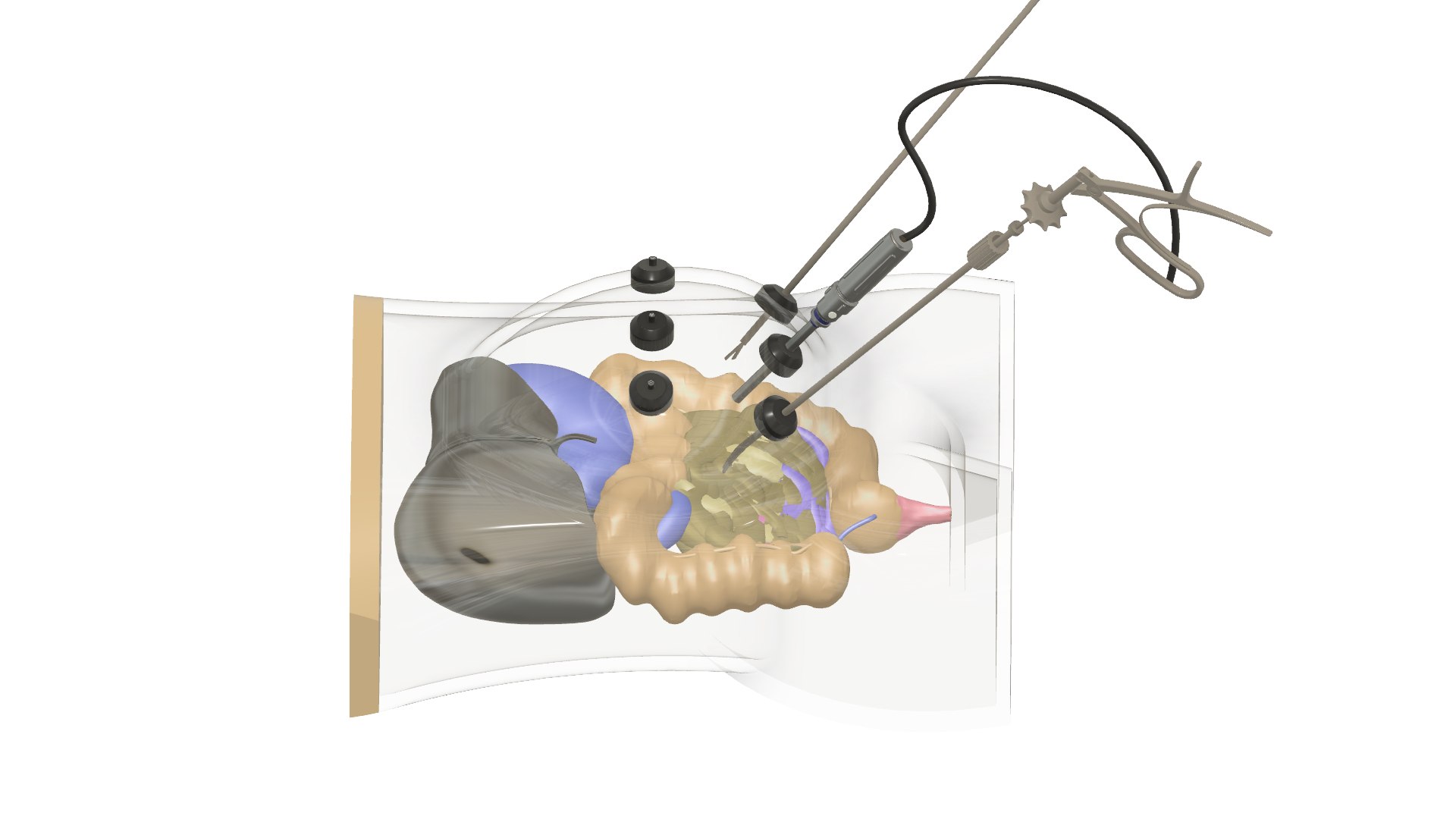 Laparoscopic simulator with organs included 3D - TurboSquid 2160616
