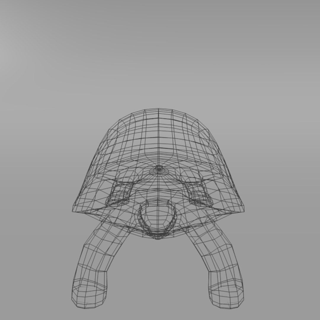 Tortoise 3D Model - TurboSquid 1318864