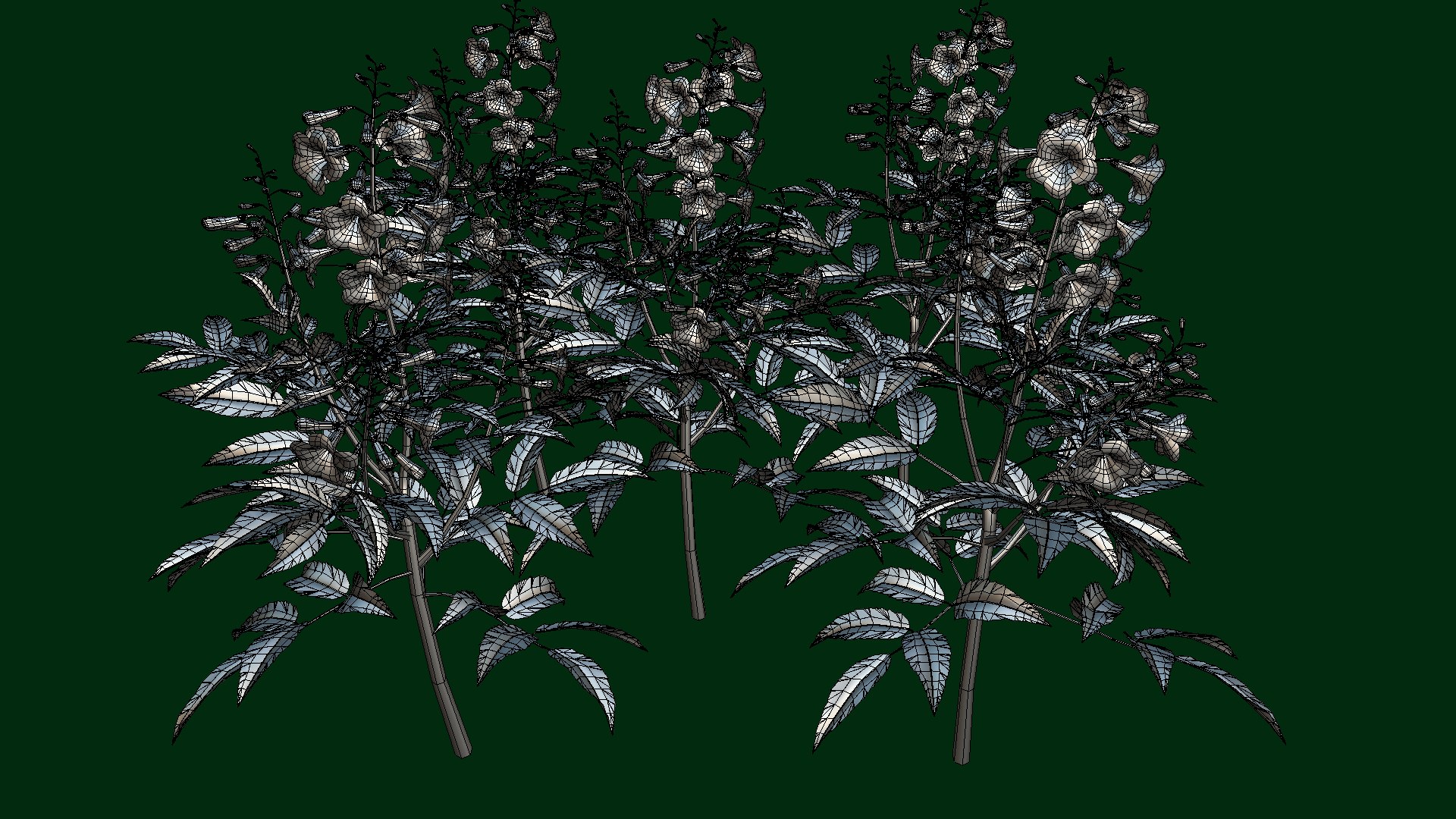 3D Flower Bahamas Model - TurboSquid 2131605