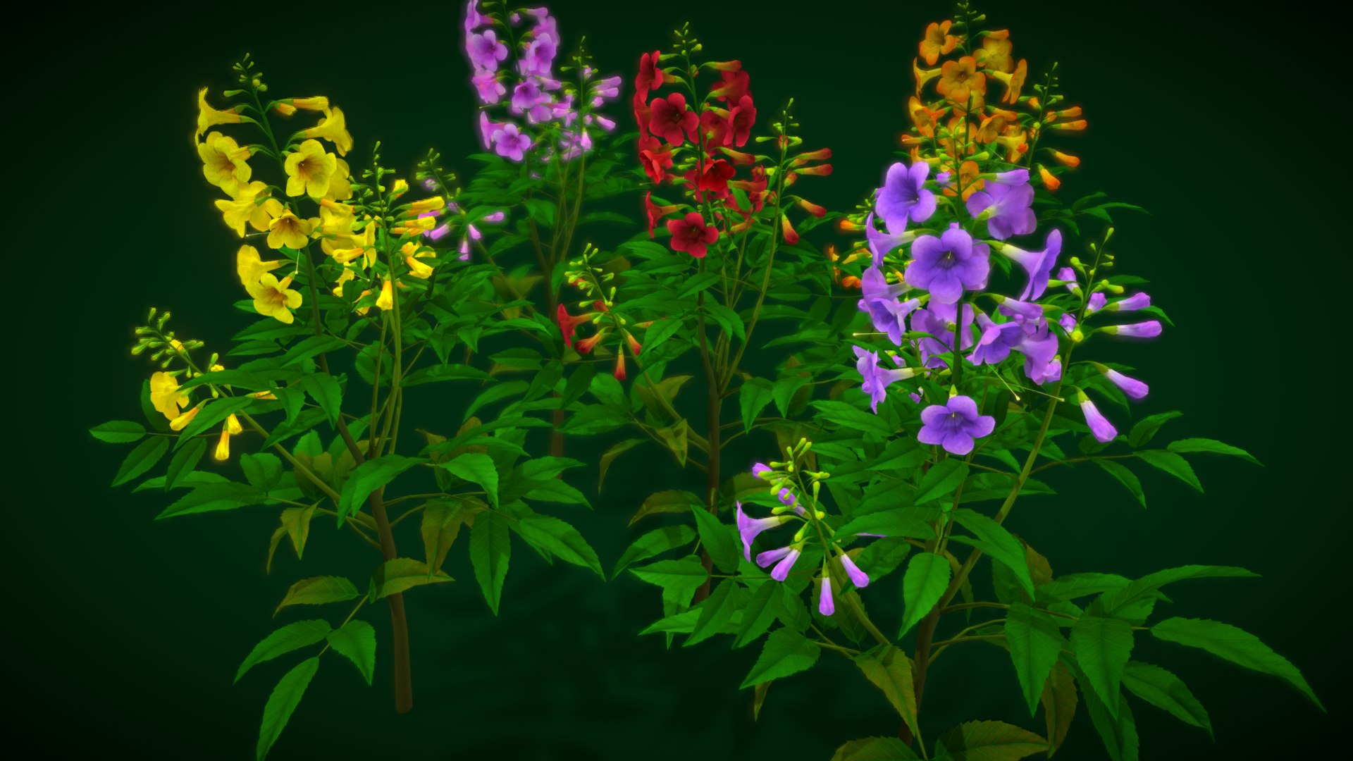 3D Flower Bahamas model - TurboSquid 2131605