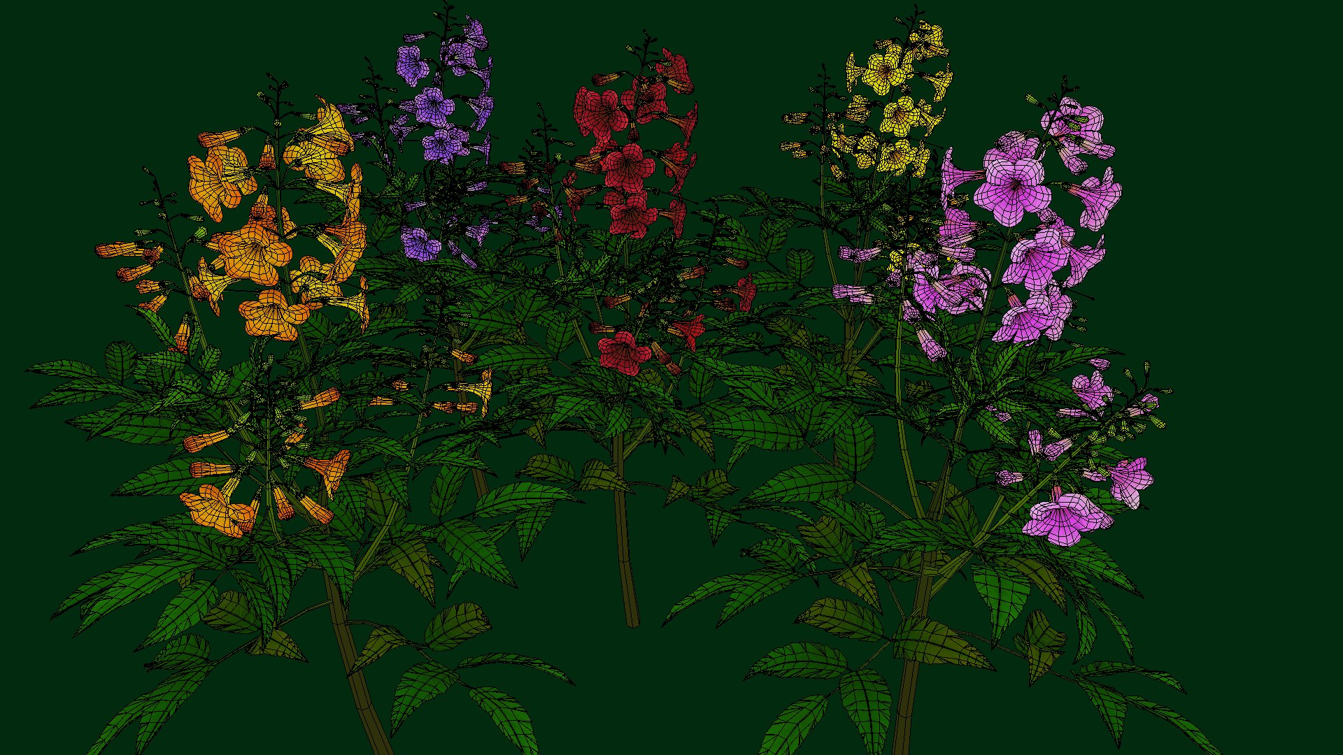 3D Flower Bahamas Model - TurboSquid 2131605