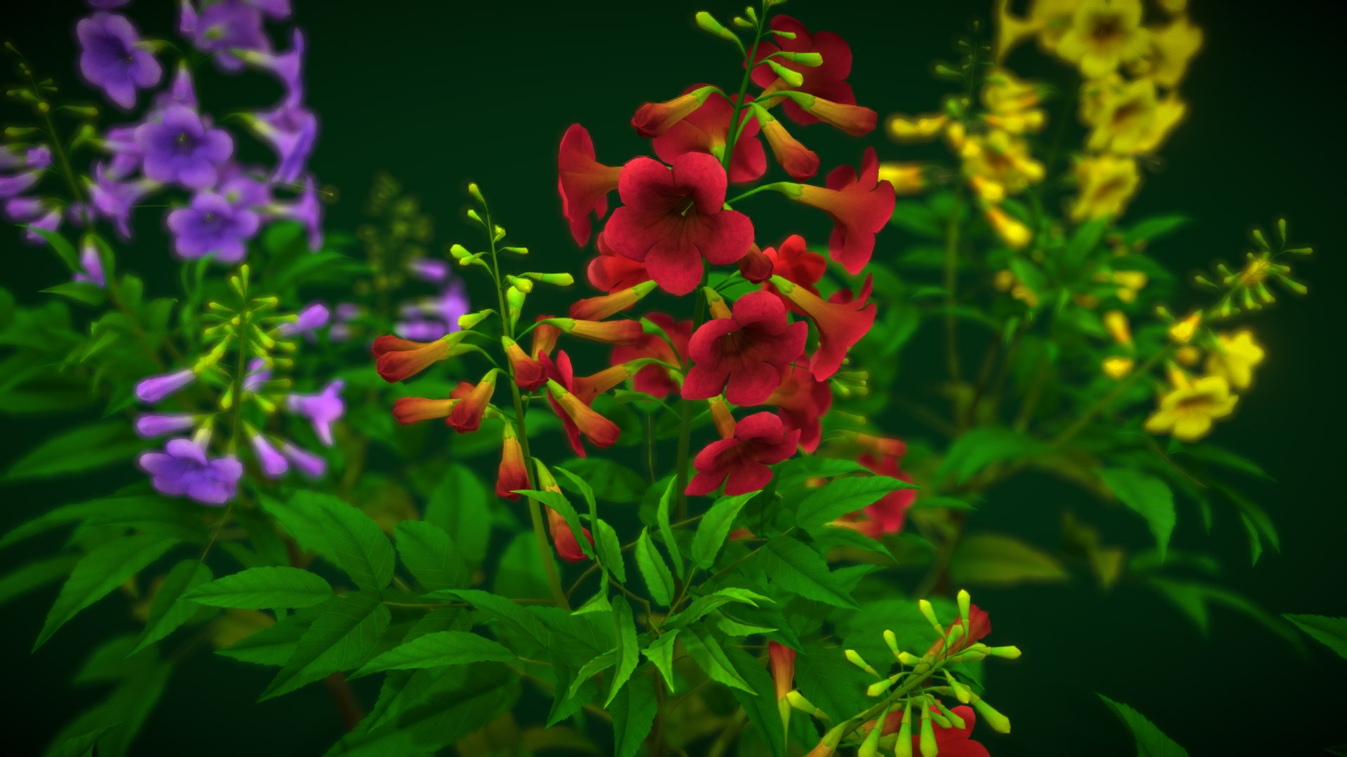 3D Flower Bahamas Model - TurboSquid 2131605