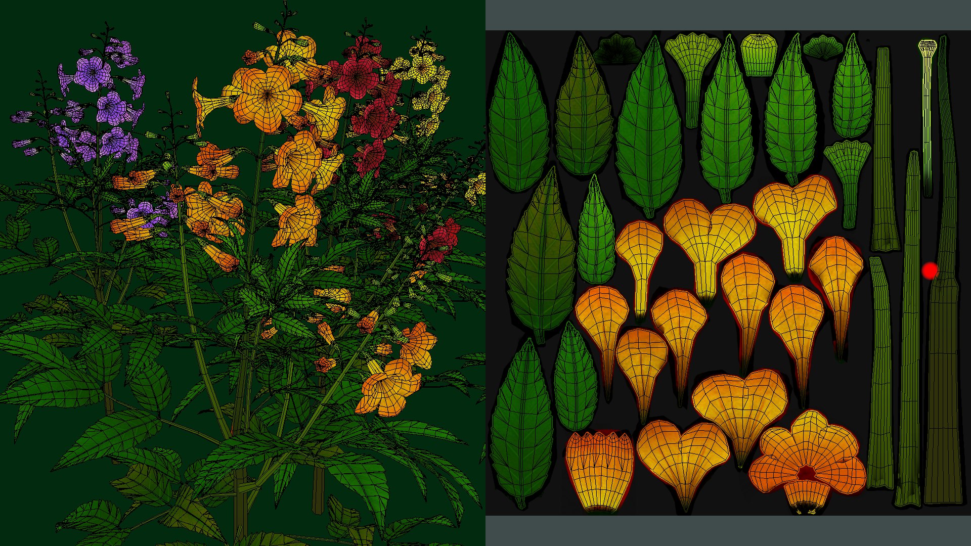 3D Flower Bahamas Model - TurboSquid 2131605