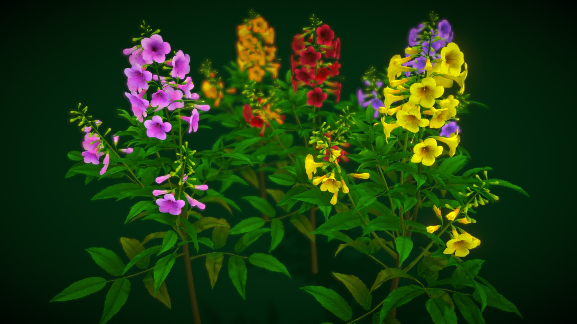 3D Flower Bahamas Model - TurboSquid 2131605