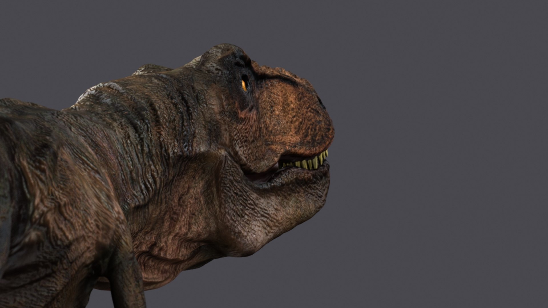 T-rex Rex 3d Model