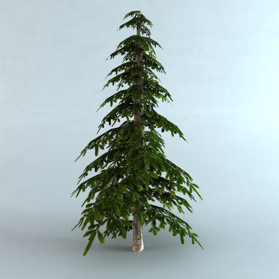 Pine Tree 3d Max