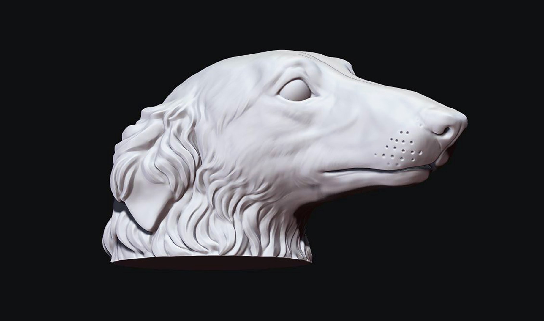 3D Borzoi Dog Head model - TurboSquid 2181228