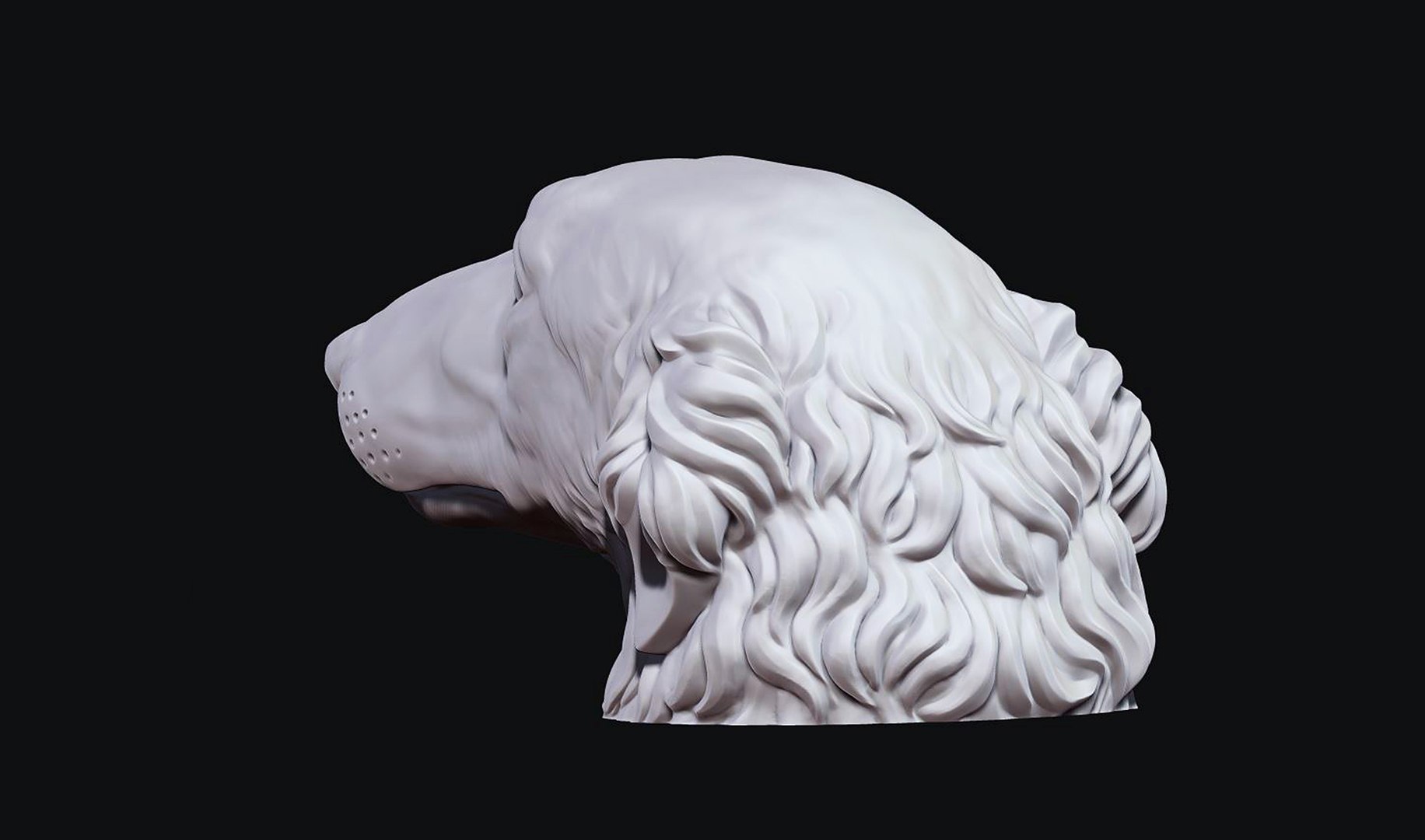 3D Borzoi Dog Head model - TurboSquid 2181228