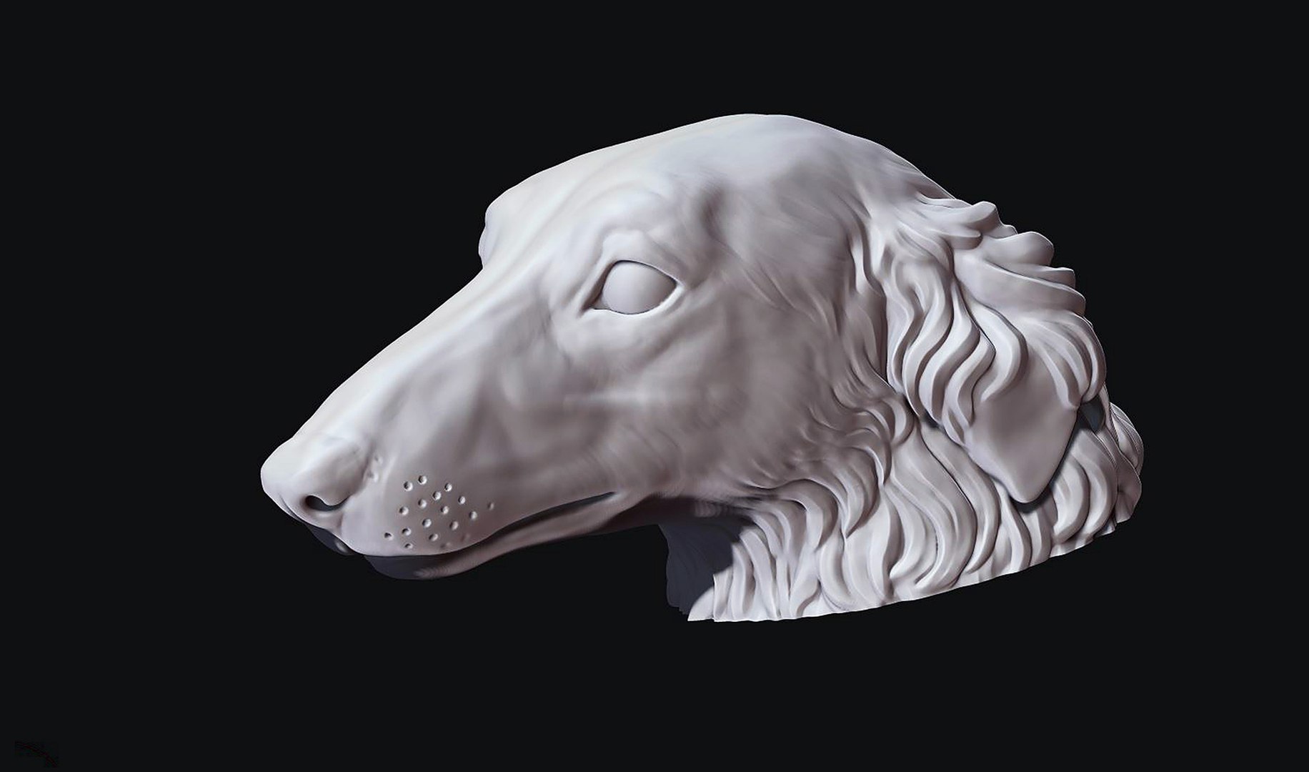 3D Borzoi Dog Head model - TurboSquid 2181228