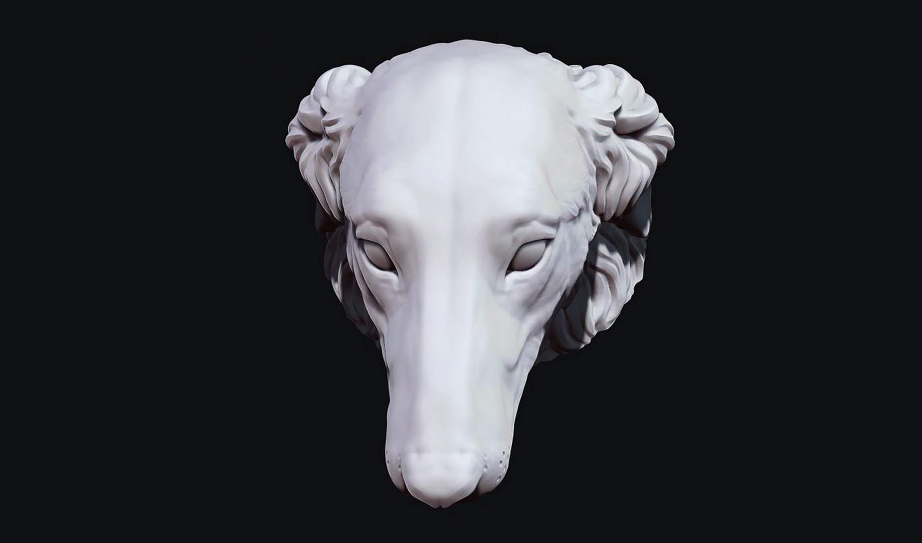 3D Borzoi Dog Head model - TurboSquid 2181228
