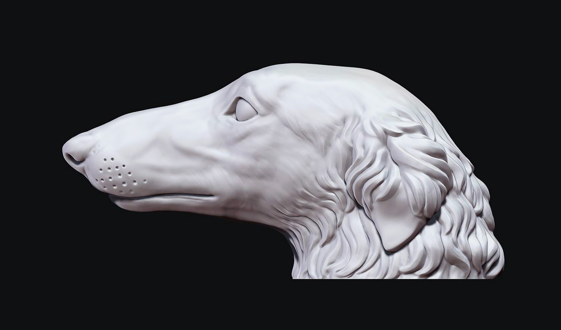 3D Borzoi Dog Head model - TurboSquid 2181228