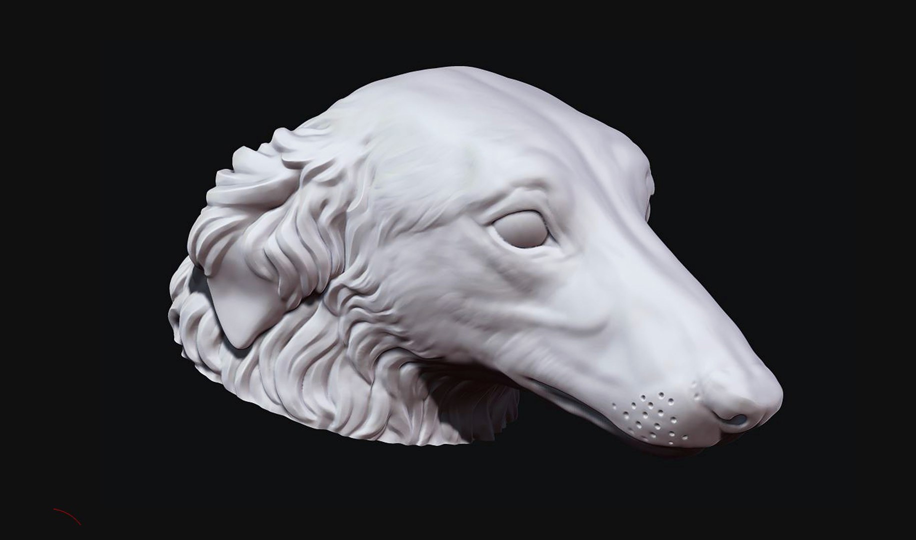 3D Borzoi Dog Head model - TurboSquid 2181228