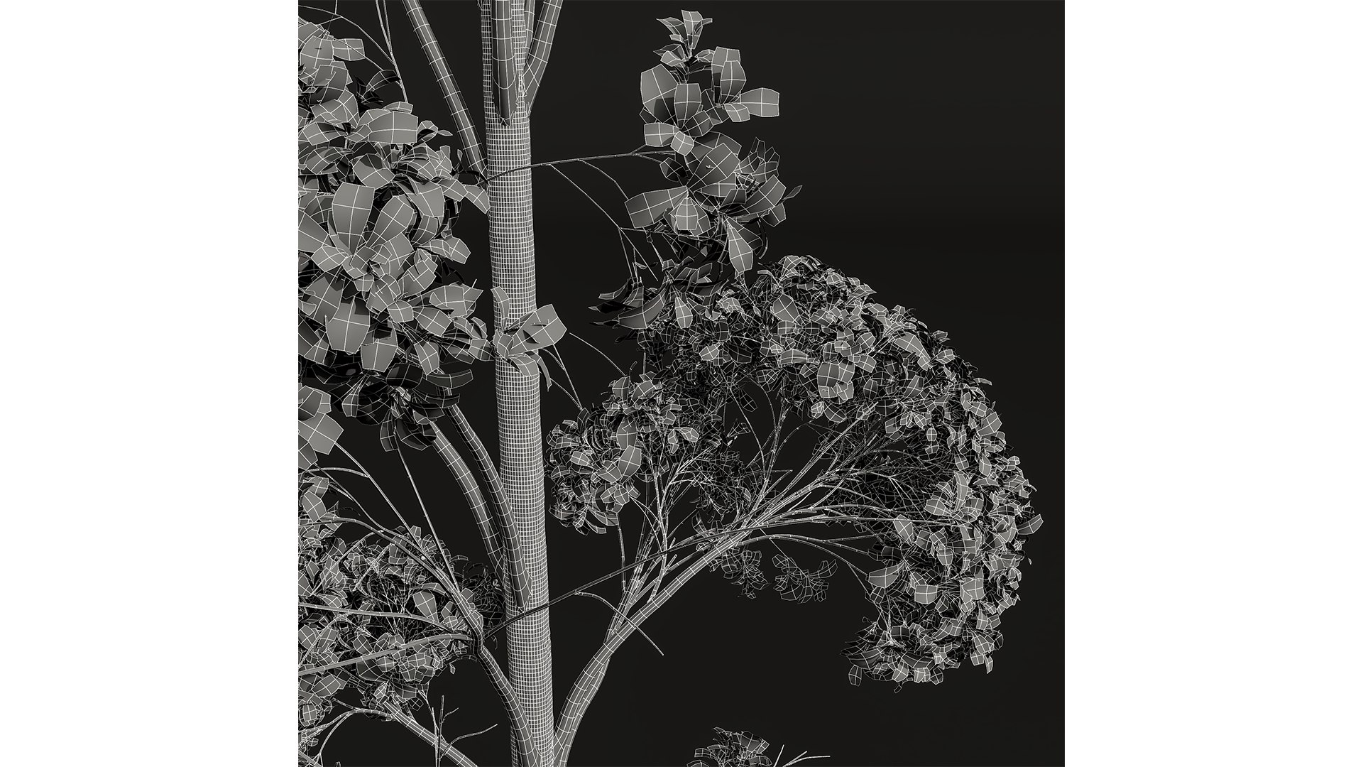 New Plant High Detail Populus Tremuloides04 3D Model - TurboSquid 2207169