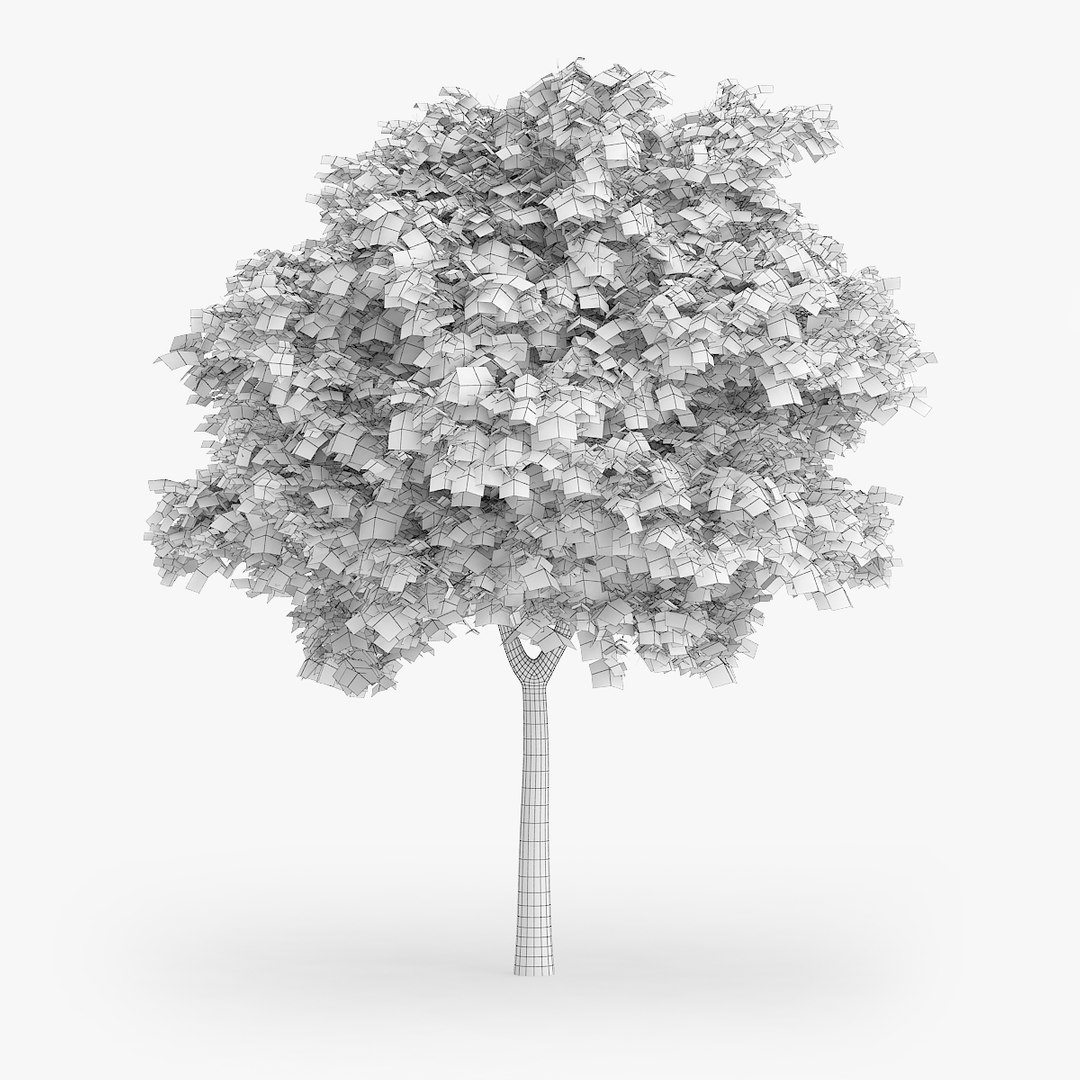 3d Model Austrian Oak Trees 5