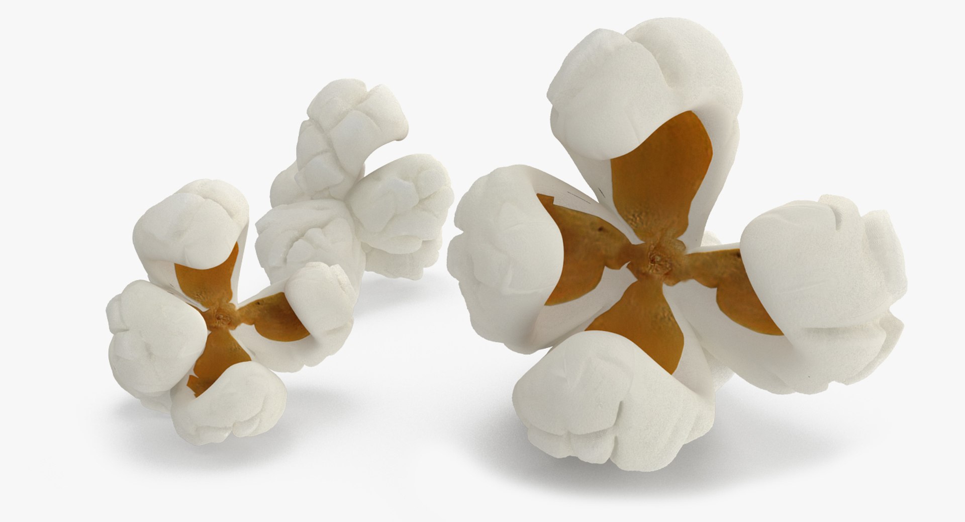 Popcorn Kernel 3d 3ds