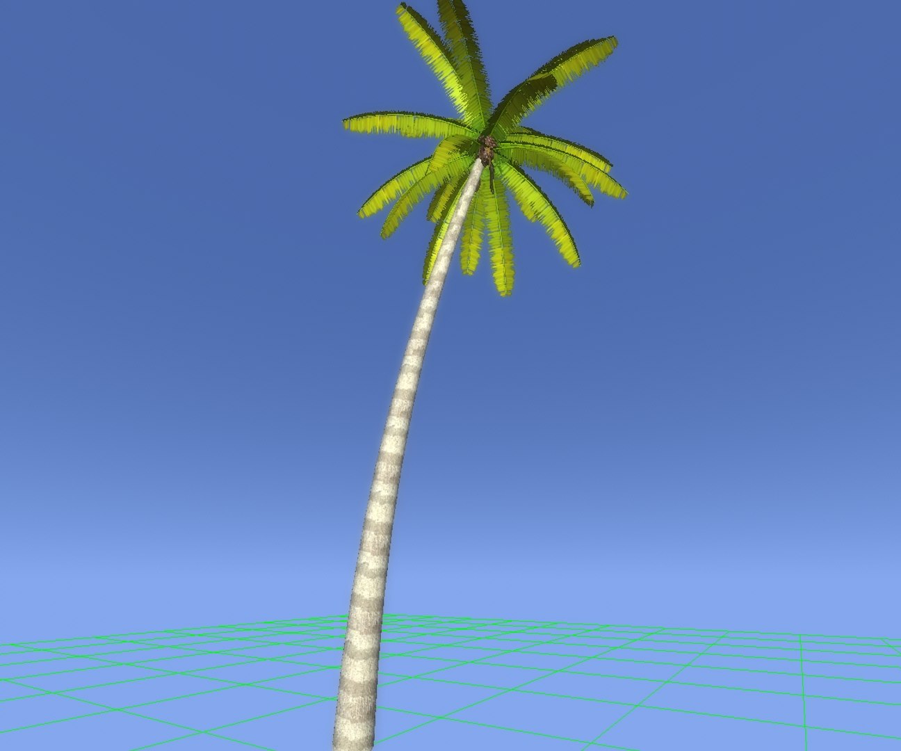 palm 3d model