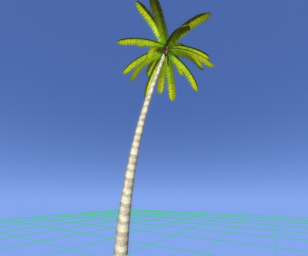 palm 3d model