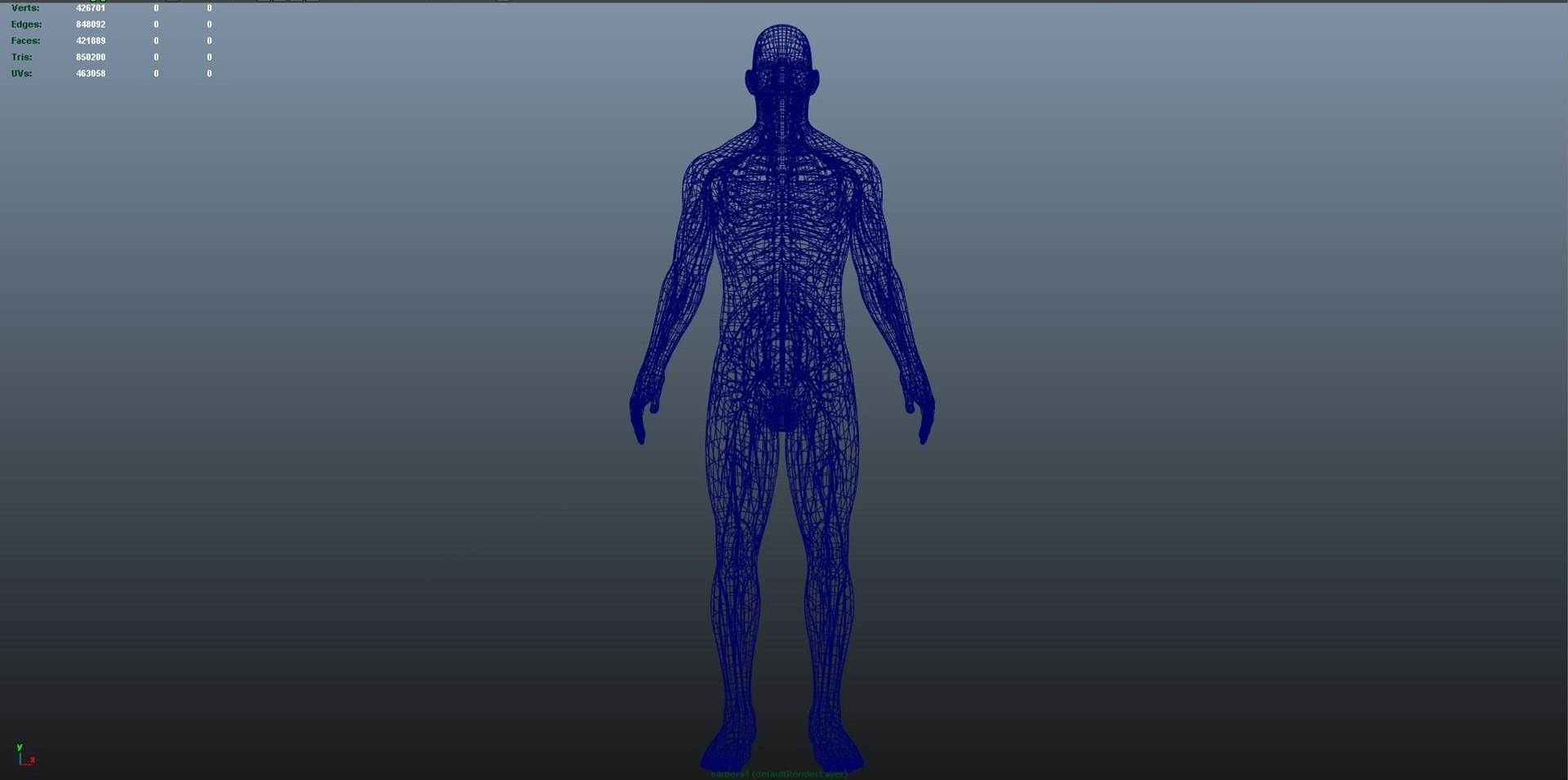 Body Nerves Lymph Model - TurboSquid 1217418