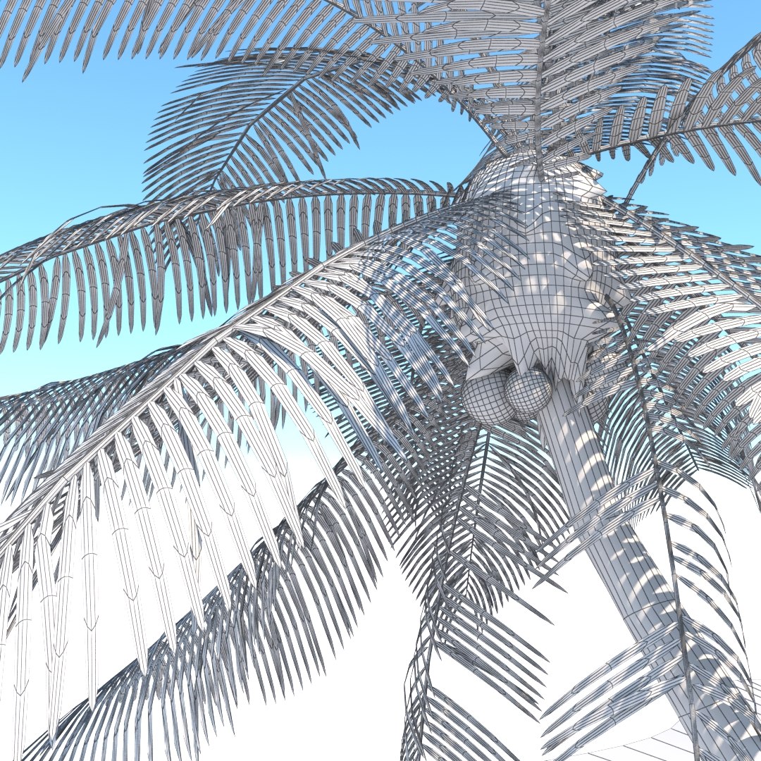 Palmera Palm Tree 3D Model - TurboSquid 1545071