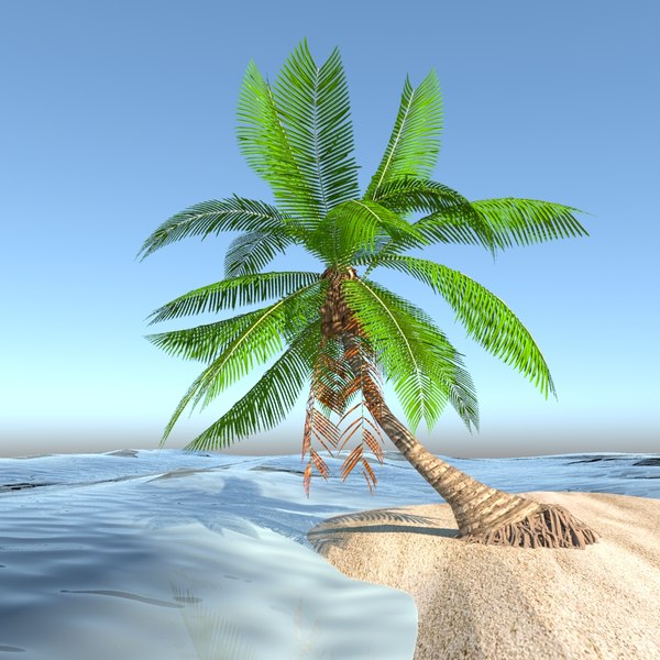 Palmera palm tree 3D model - TurboSquid 1545071