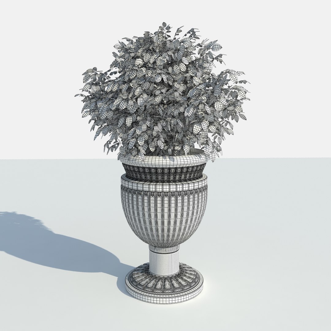 3d Traditional Entrance Plant