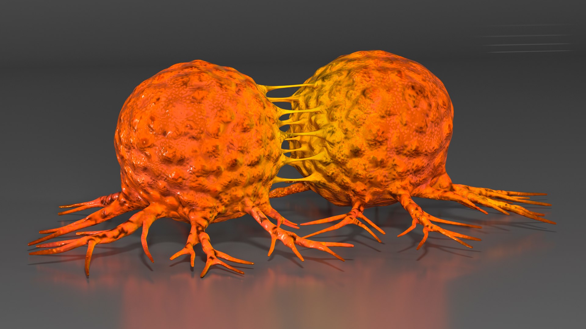 3D Cancer Cell Dividing For 3D Print Model - TurboSquid 2256183