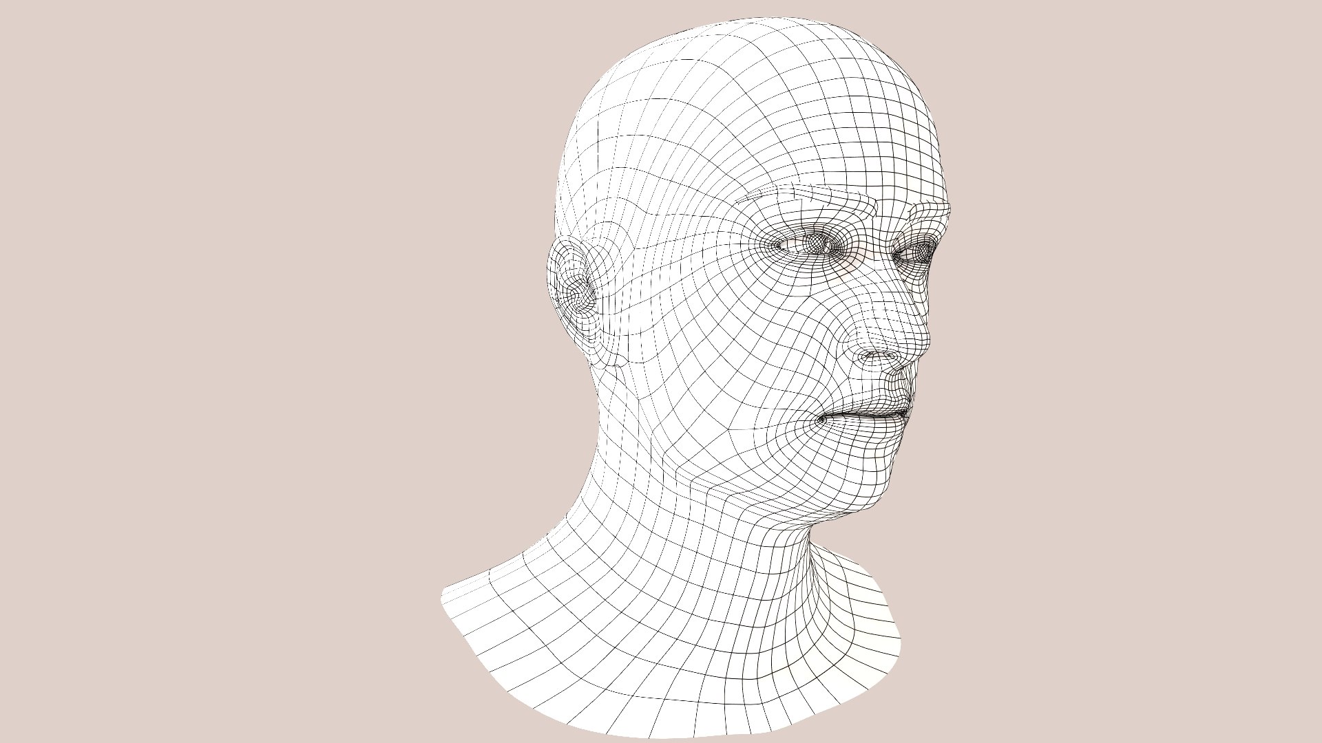 Male Bust Human 3d Lwo