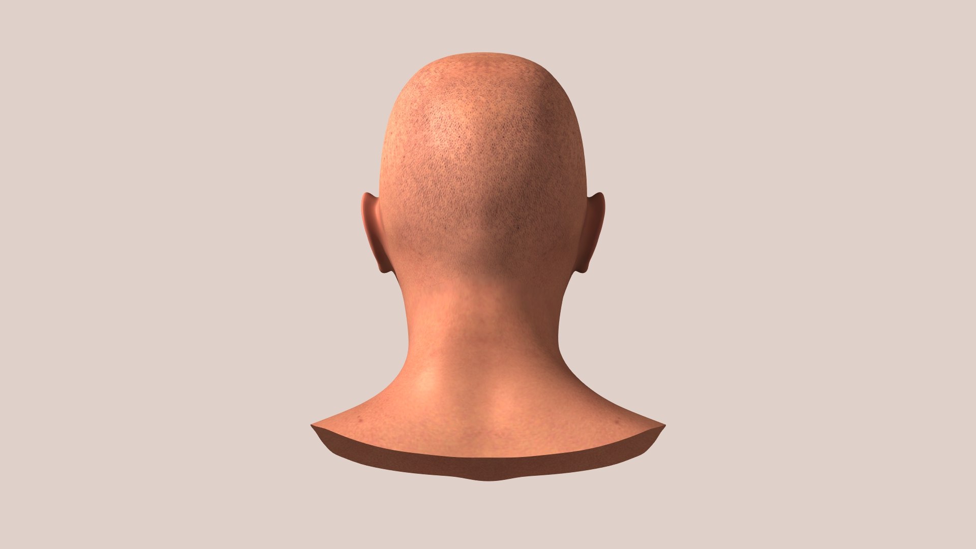 Male Bust Human 3d Lwo