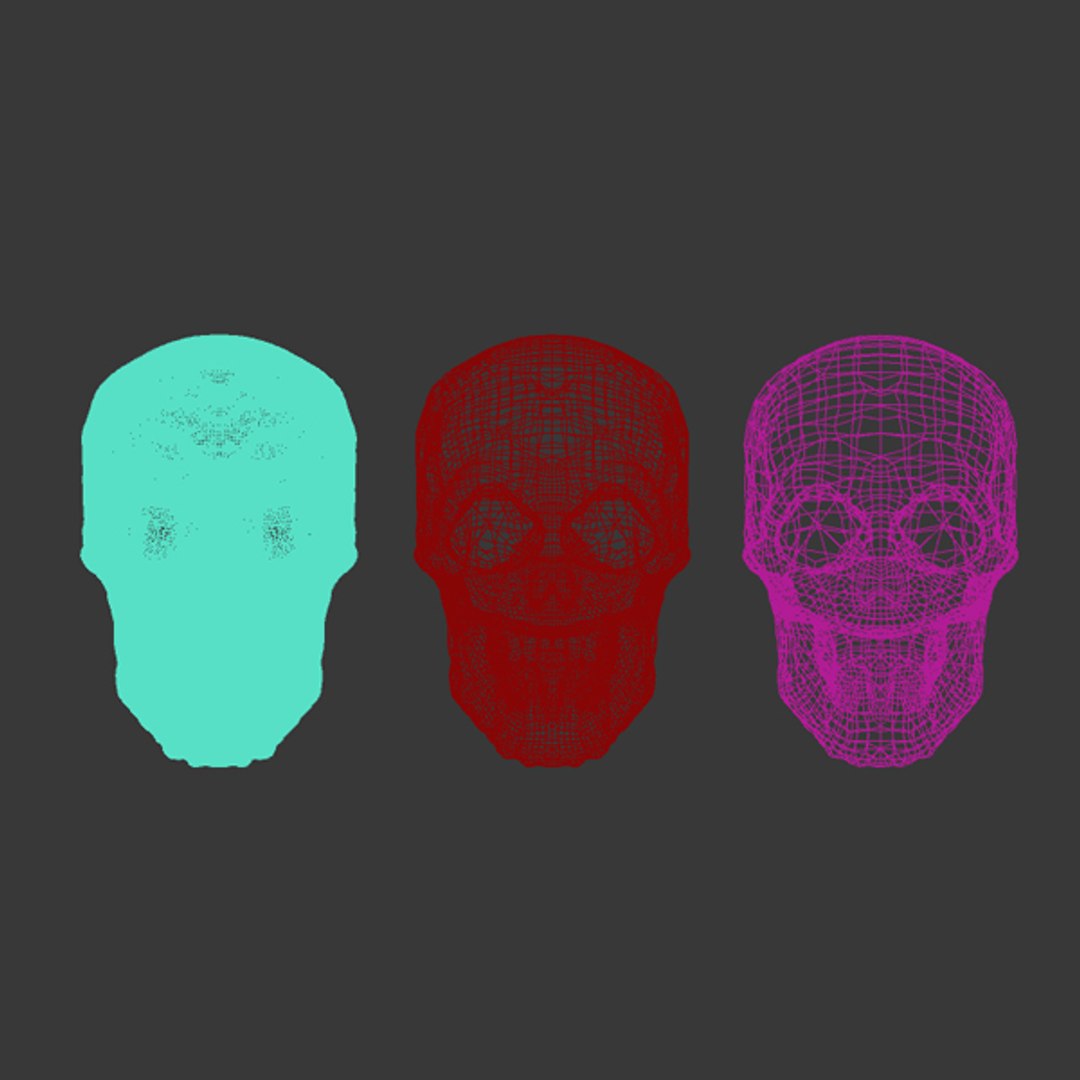 3d Skull Model